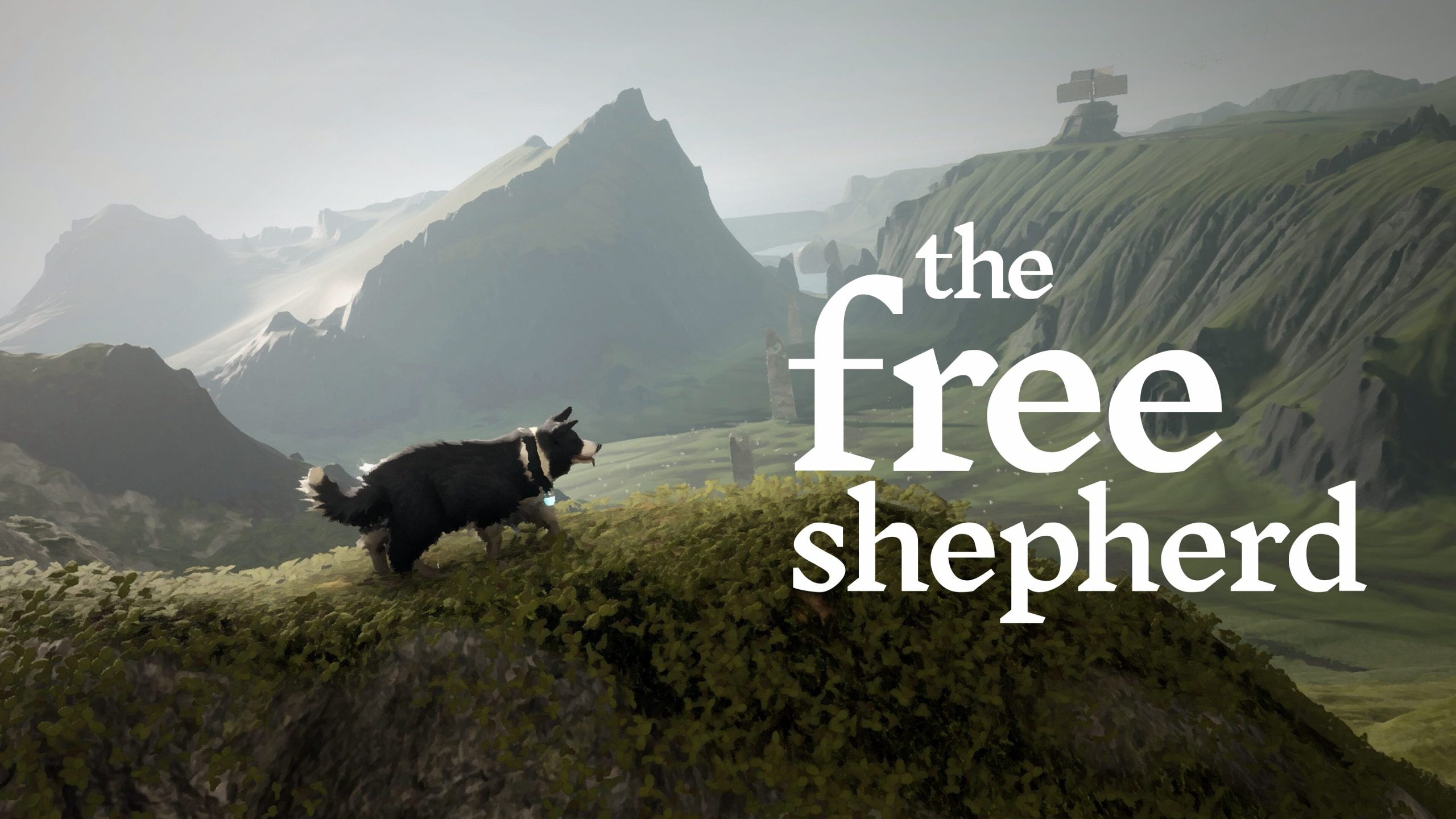 Border Collie Adventure The Free Shepherd Announced for PC and PS5 in ...